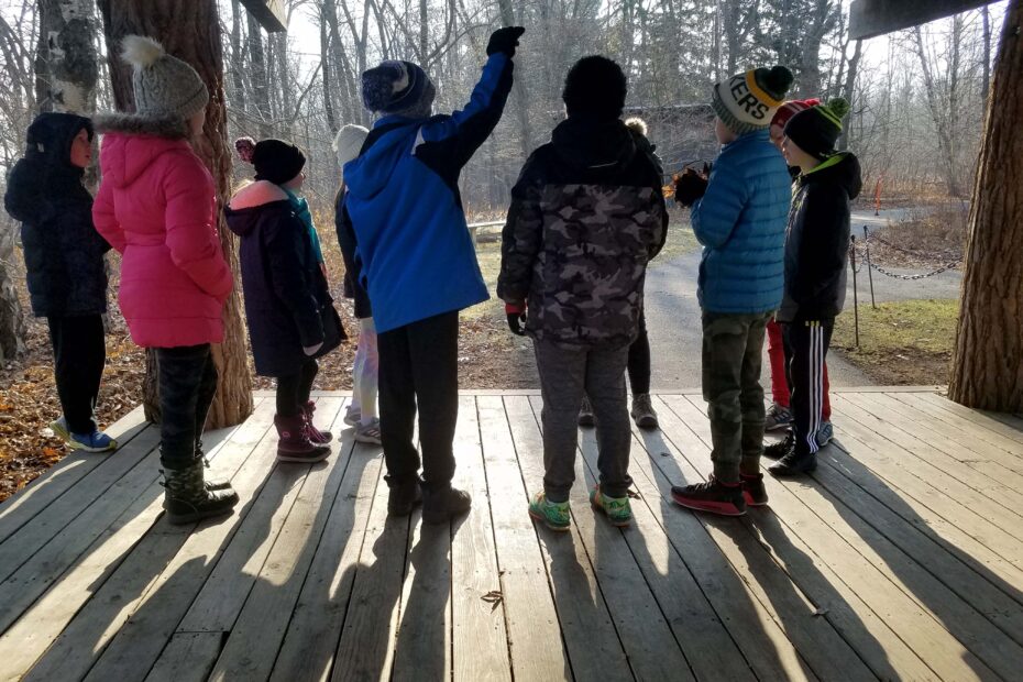 Follow the Child - Grumble Services - Montessori Elementary Learning