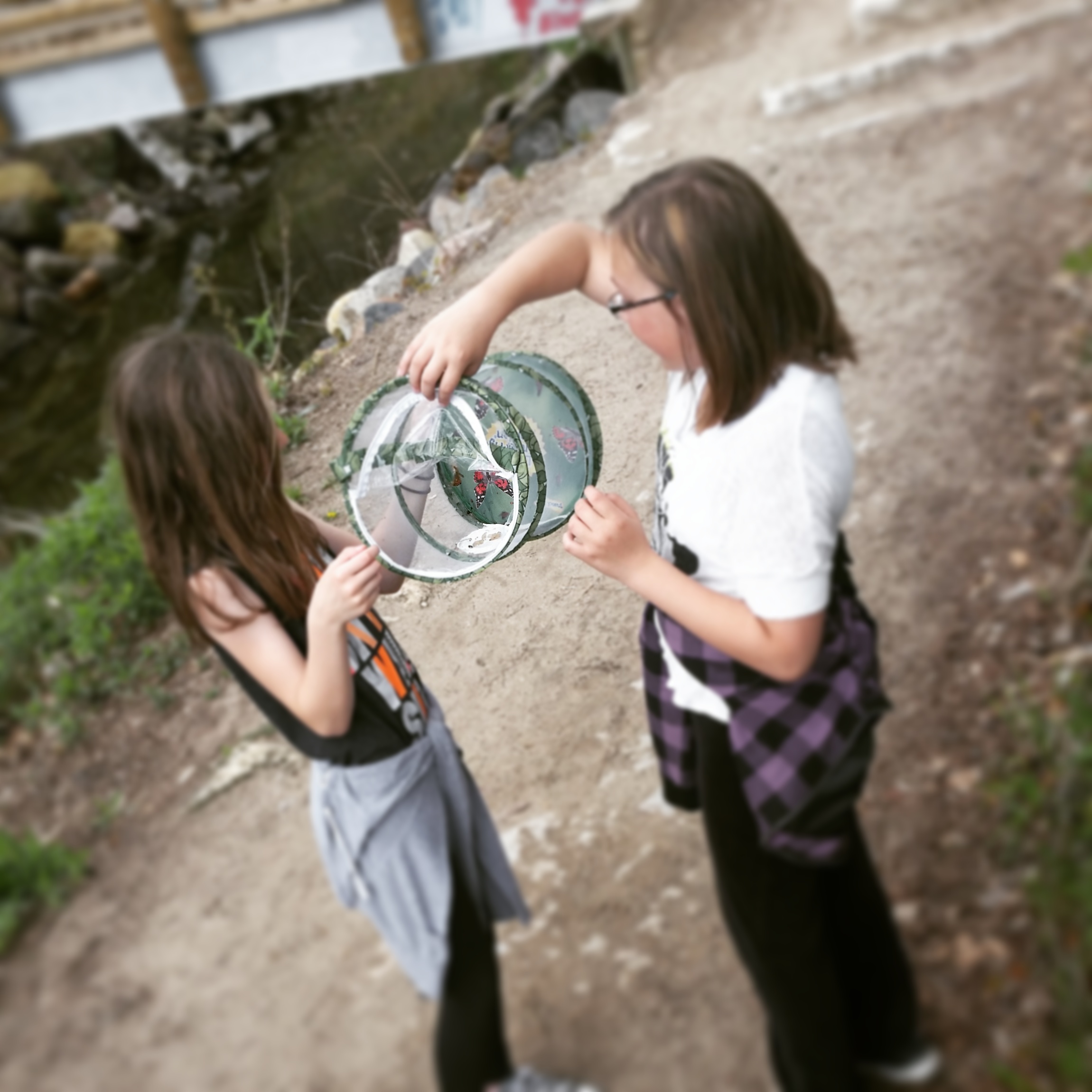 Unschooling Movement - Grumble Services, LLC.