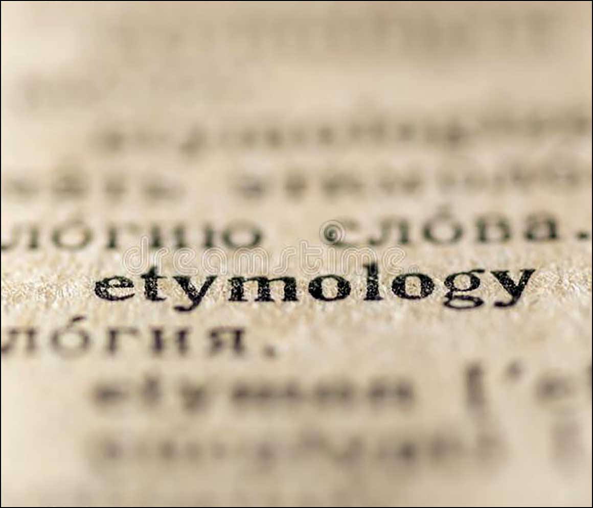 Word Study - Grumble Services, LLC.