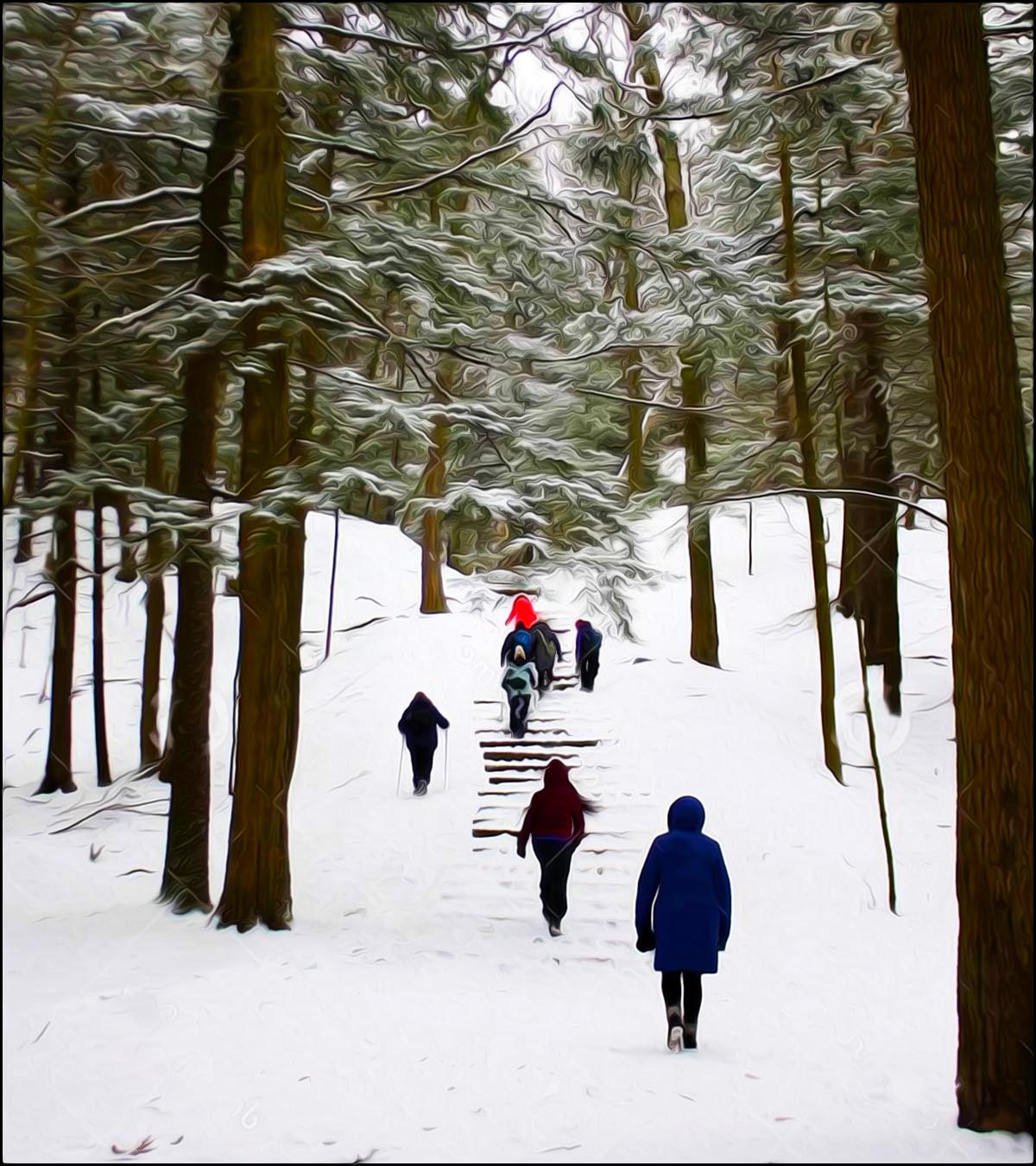 Winter Learning - Grumble Services, LLC.